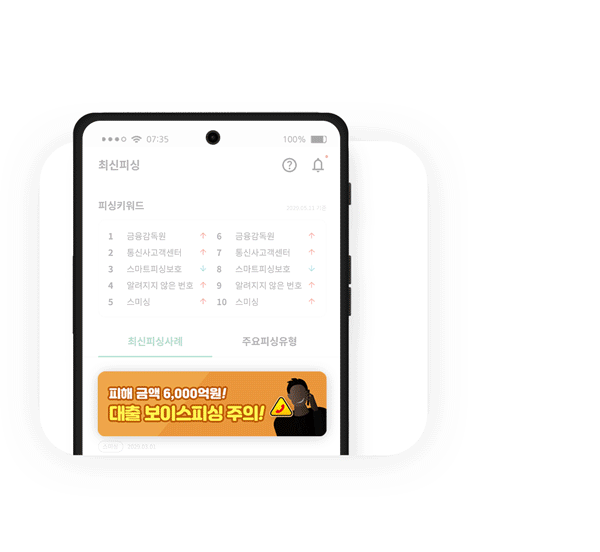 스마트피싱보호, 안티스캠(Antiscam)